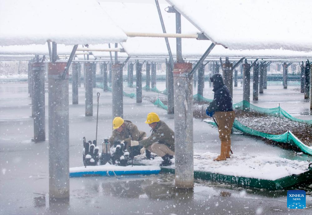 Countermeasures taken across China to alleviate impacts of freezing ...