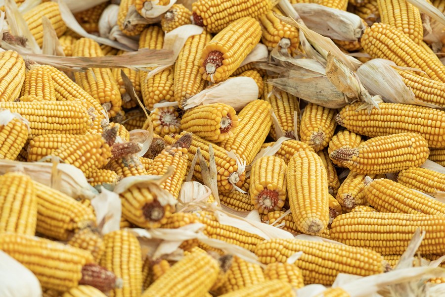 China's foreign trade in agricultural produce up-Xinhua