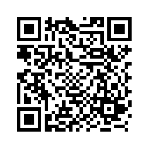 Indonesia temporarily grounds Boeing 737-9 Max planes after Alaska Airlines incident-Xinhua