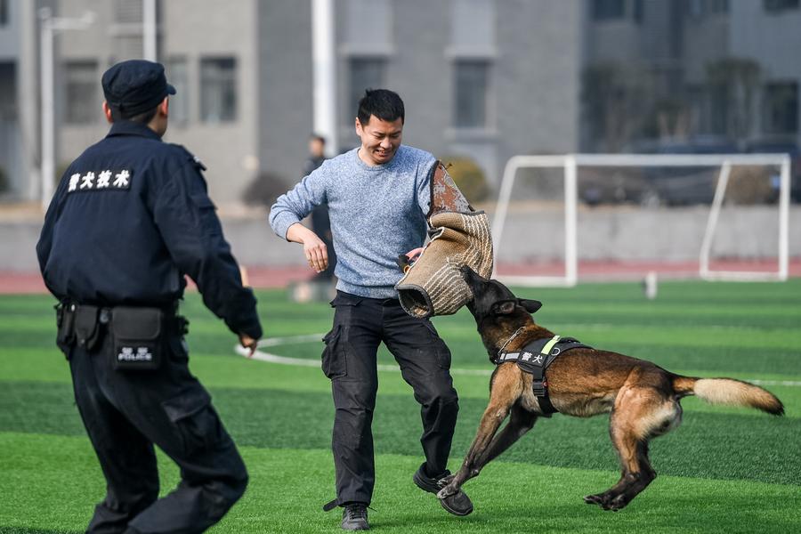 Training session for police dog unit is held in Hubei-Xinhua