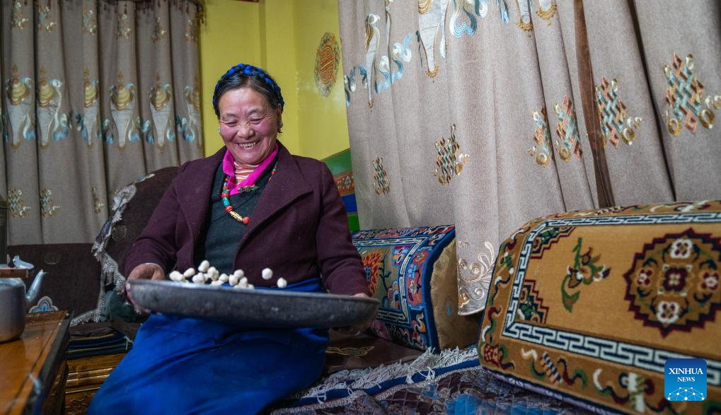 People celebrate farmers' New Year in Xigaze, China's Xizang-Xinhua