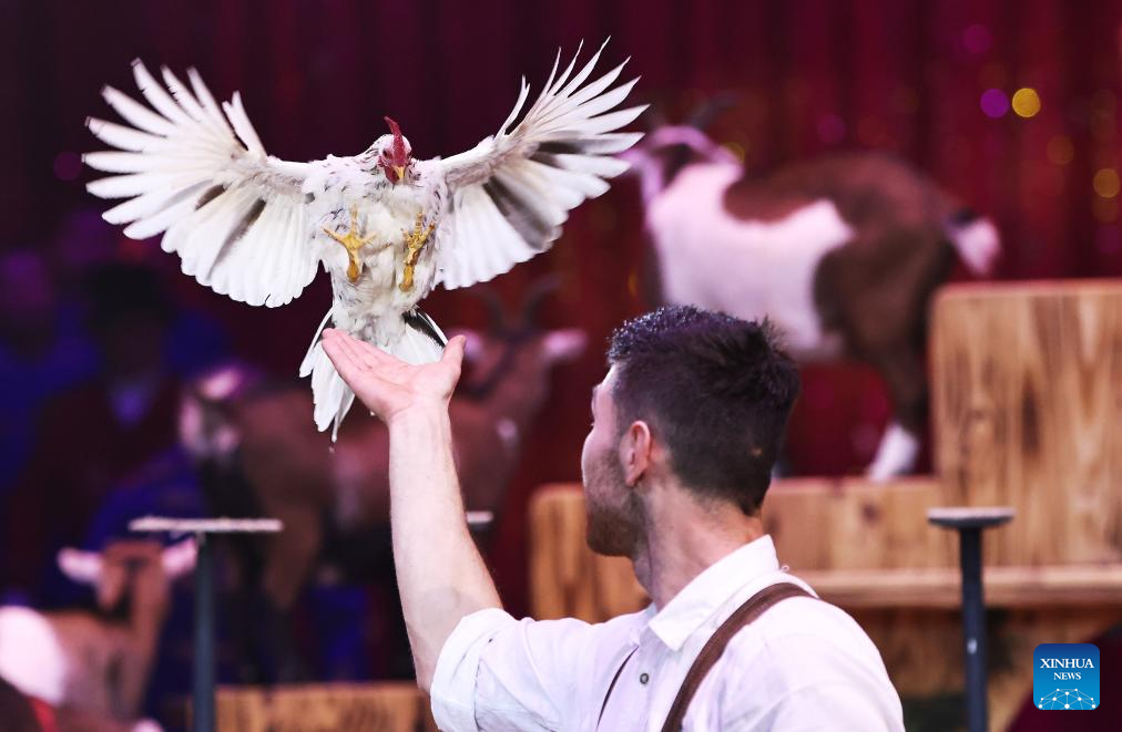 Highlights of 46th International Circus Festival of Monte-Carlo in ...