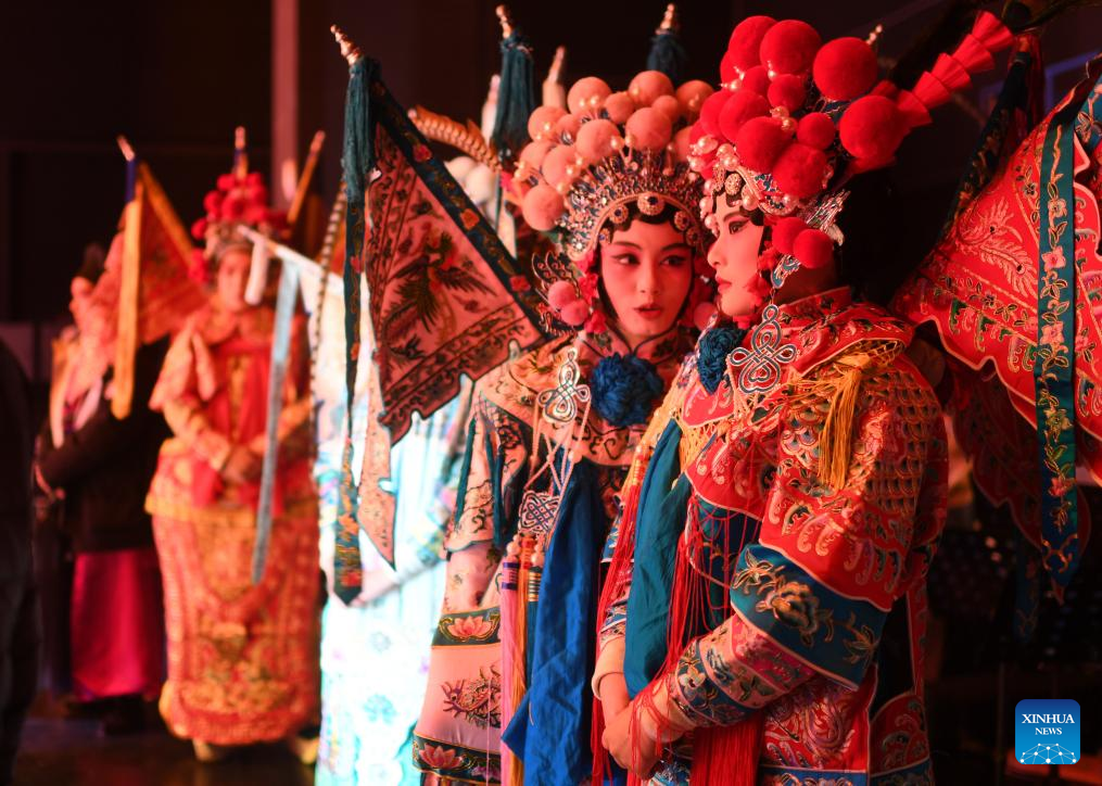 Young opera actors stage graduation gala in C China’s Hubei_Culture