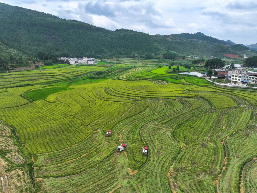Backgrounder: China's Green Rural Revival Program-Xinhua