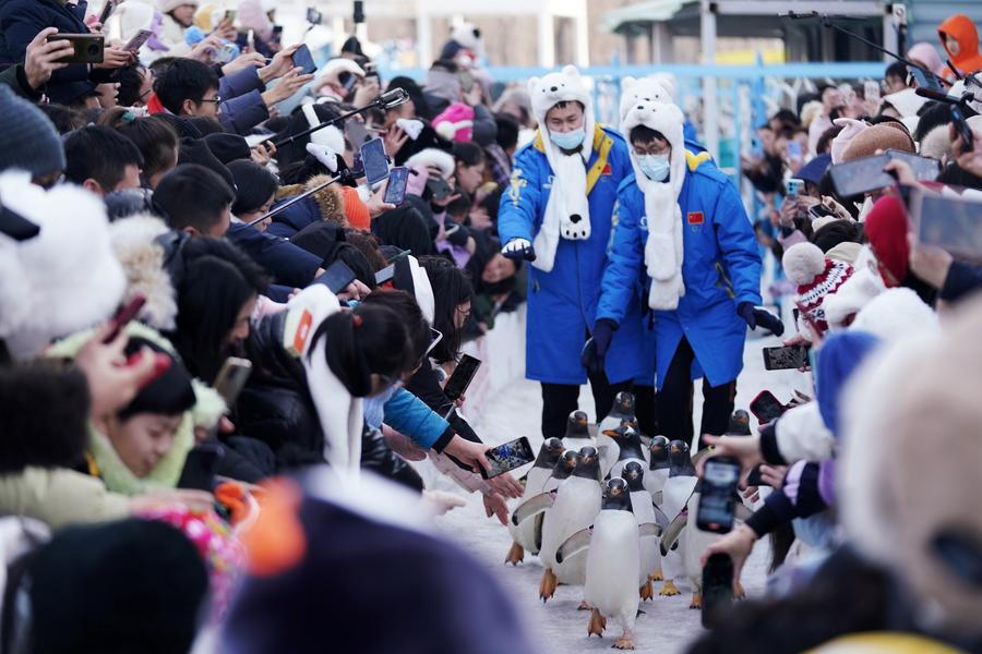 China's "ice city" Harbin welcomes over 10 mln visits during Spring ...