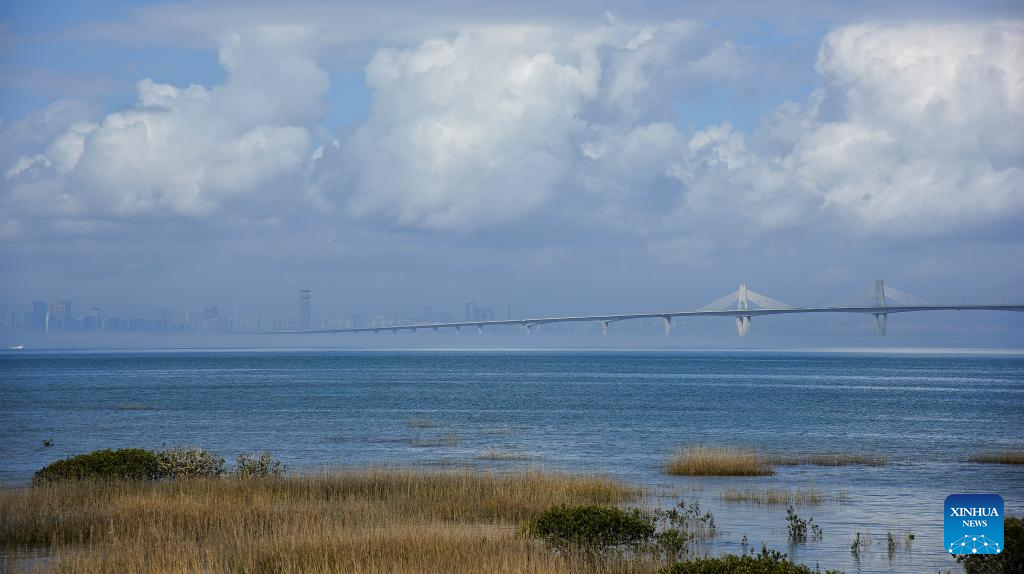 View of Xiamen seen from estuary in Kinmen-Xinhua
