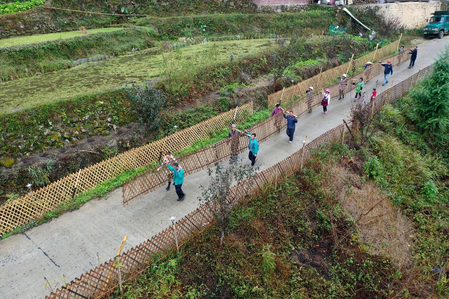 EcoChina | Tree planting program improves living environment of Miao ...