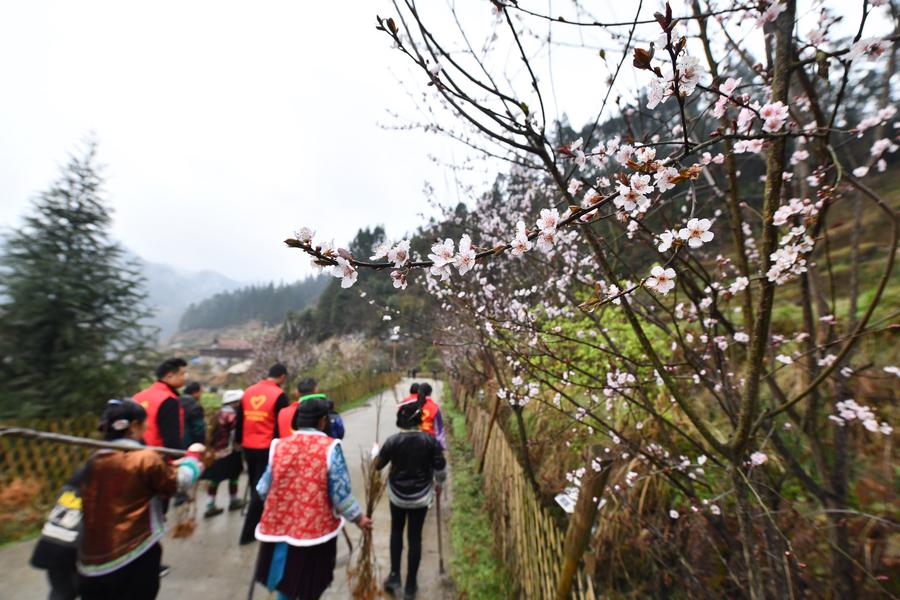 EcoChina | Tree planting program improves living environment of Miao ...