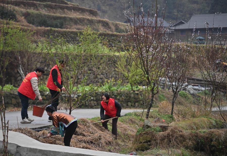 EcoChina | Tree planting program improves living environment of Miao ...