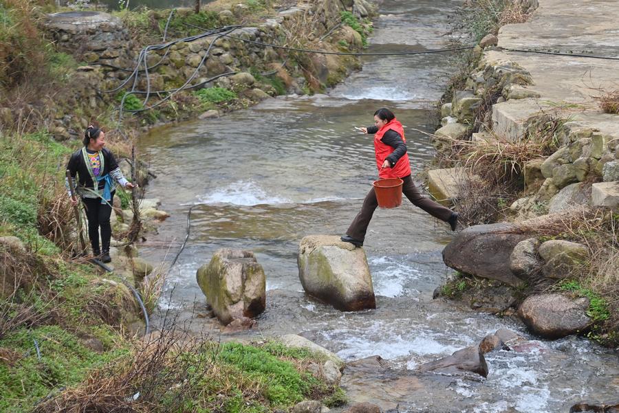 EcoChina | Tree planting program improves living environment of Miao ...