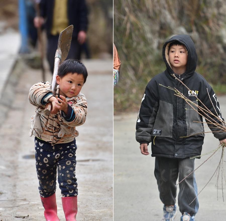 EcoChina | Tree planting program improves living environment of Miao ...