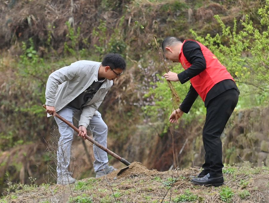 EcoChina | Tree planting program improves living environment of Miao ...