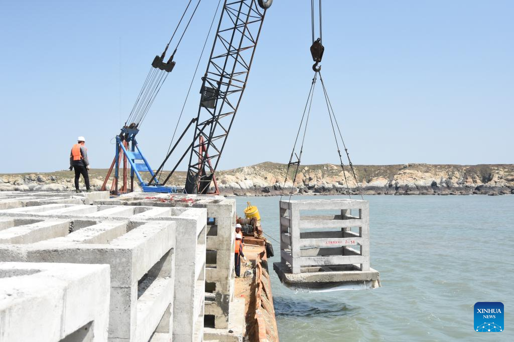 Across China: Building reef shelters for marine fish in east China-Xinhua