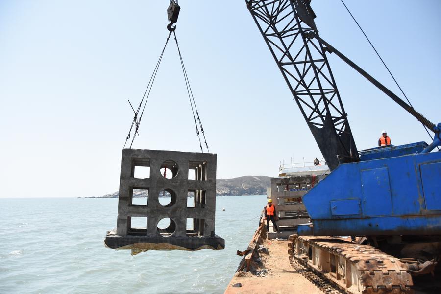 Building reef shelters for marine fish in east China-Xinhua