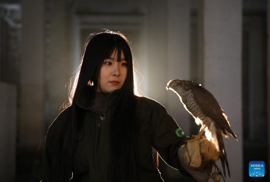 Pic story of raptor rehabilitator in NE China-Xinhua
