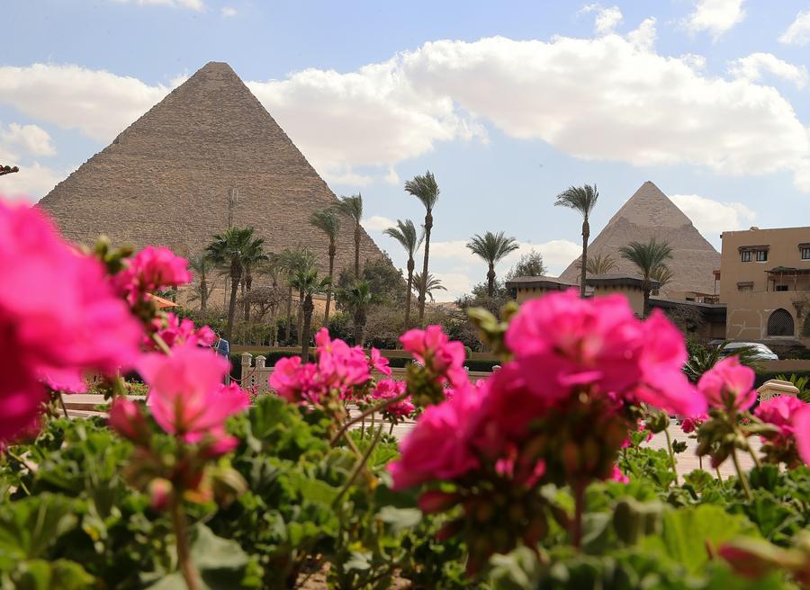 Mideast in Pictures: Spring blossoms in Mideast-Xinhua