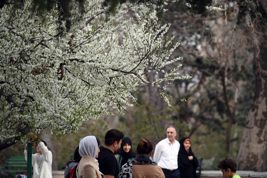 Mideast in Pictures: Spring blossoms in Mideast-Xinhua