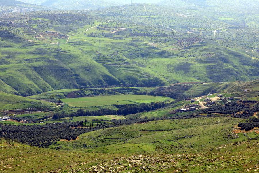 Mideast in Pictures: Spring blossoms in Mideast-Xinhua