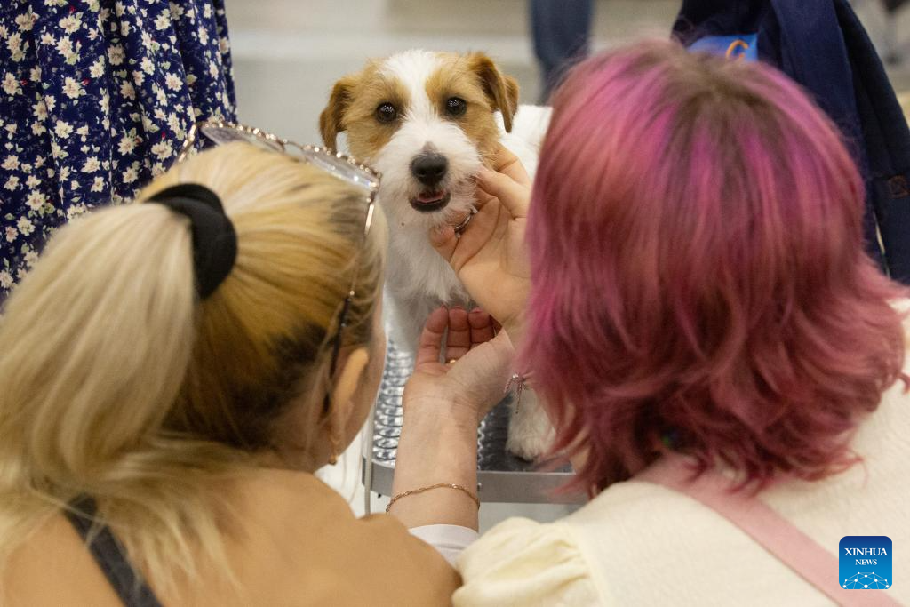 Annual spring pet show held in Russia-Xinhua