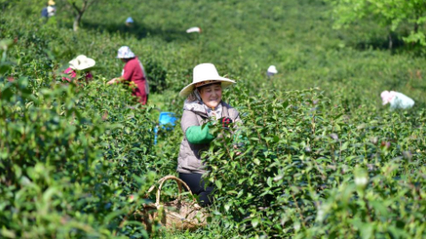 Photo - China | English.news.cn