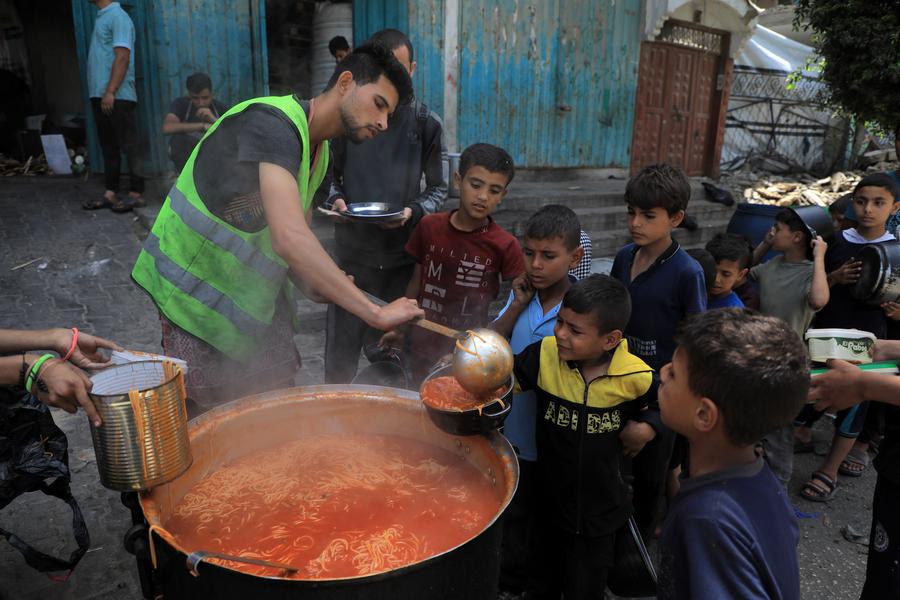 Displaced Gazans burn solid waste for cooking as fuel, shrubs run out ...