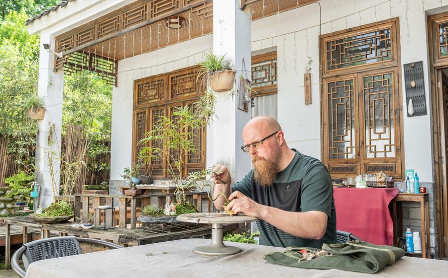 Canadian bonsai artist's enduring passion for Chinese bonsai heritage ...