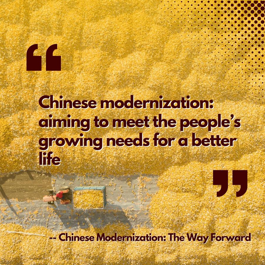 (Poster) Chinese modernization, the way forward (3)-Xinhua