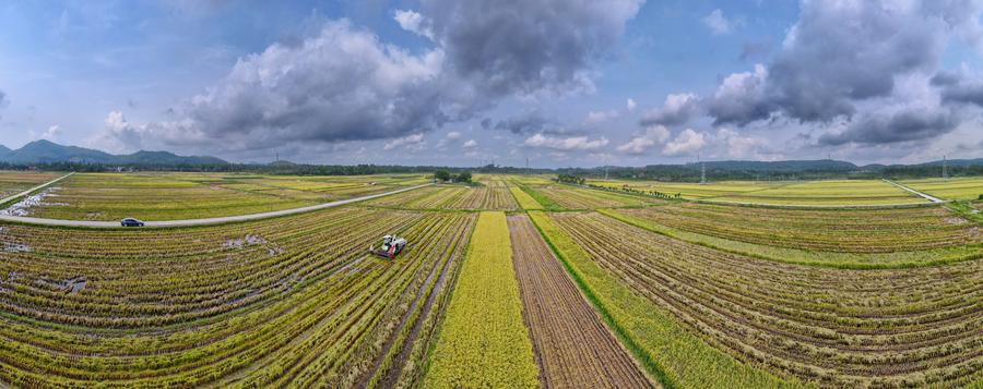 Xinhua Photo Daily | May 5, 2024-Xinhua