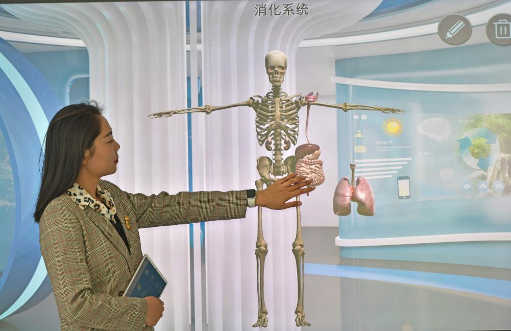 EconomyInFocus | Liaoning Province in NE China accelerates development ...