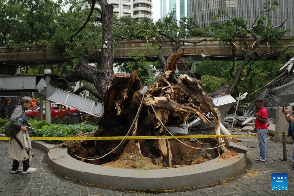 1 dead after huge tree collapses in Kuala Lumpur-Xinhua