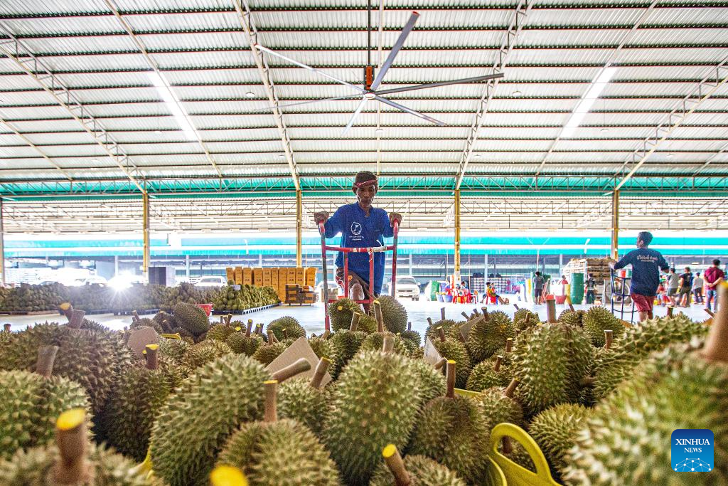 Thailand exports large quantities of durian to China each year-Xinhua