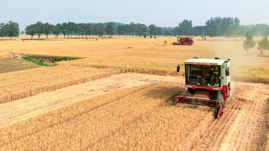 Economy&Life | Central China's Henan gearing up for wheat harvest-Xinhua