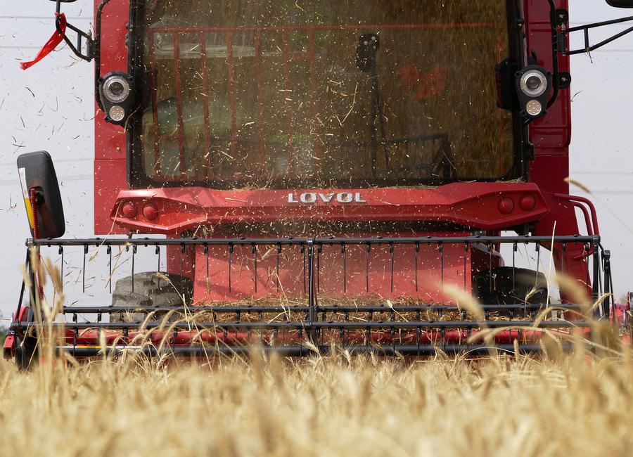 Economy&Life | Central China's Henan gearing up for wheat harvest-Xinhua