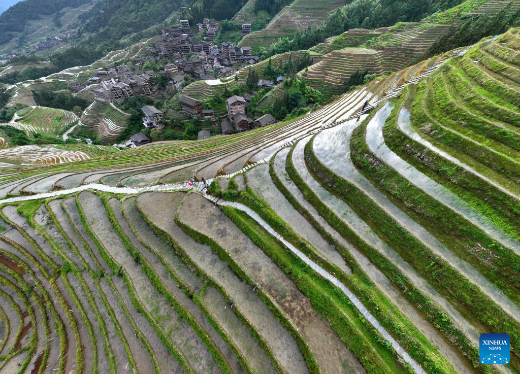 Aerial view of Longji terraced field in Longsheng County, China's ...
