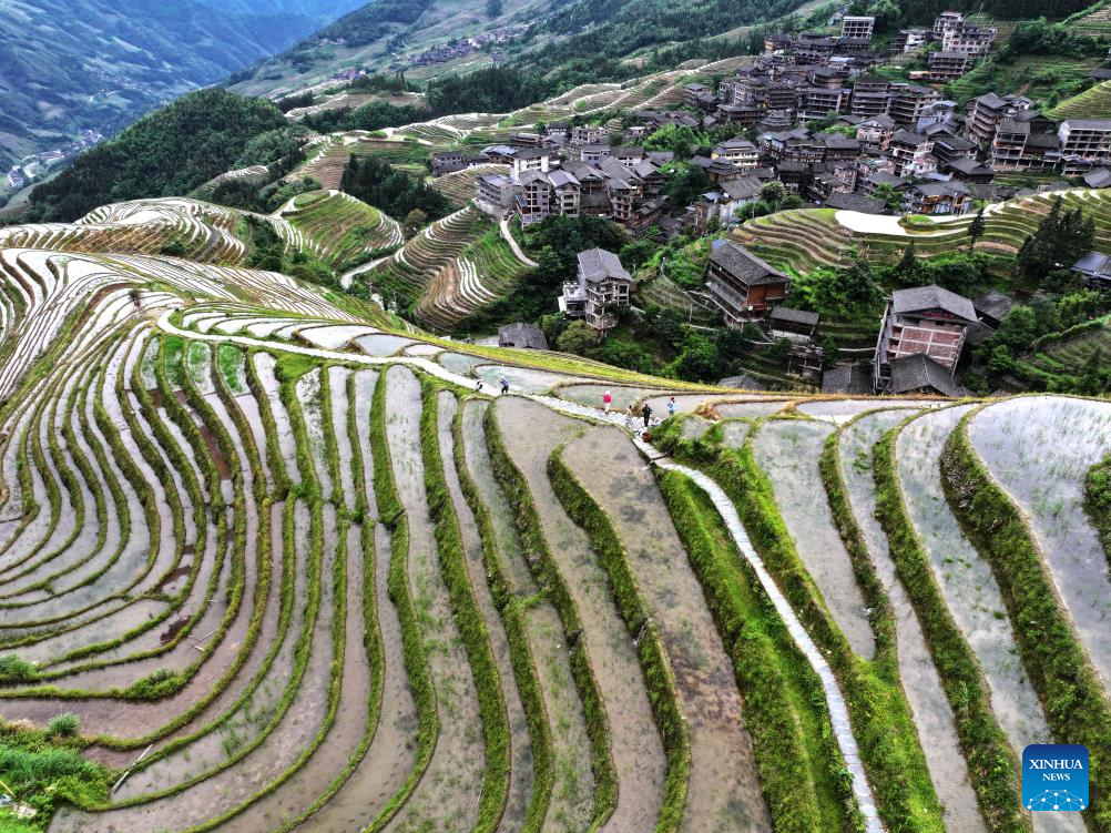 Aerial view of Longji terraced field in Longsheng County, China's ...