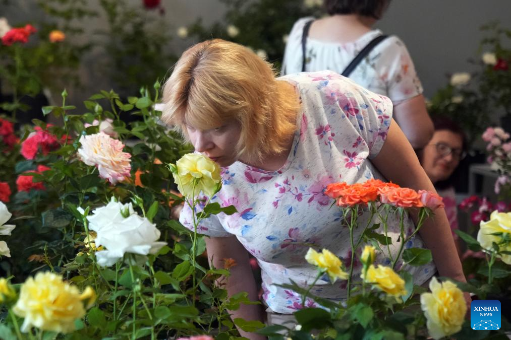 Over 100 varieties of roses on display at "Roses 2024" exhibition in ...