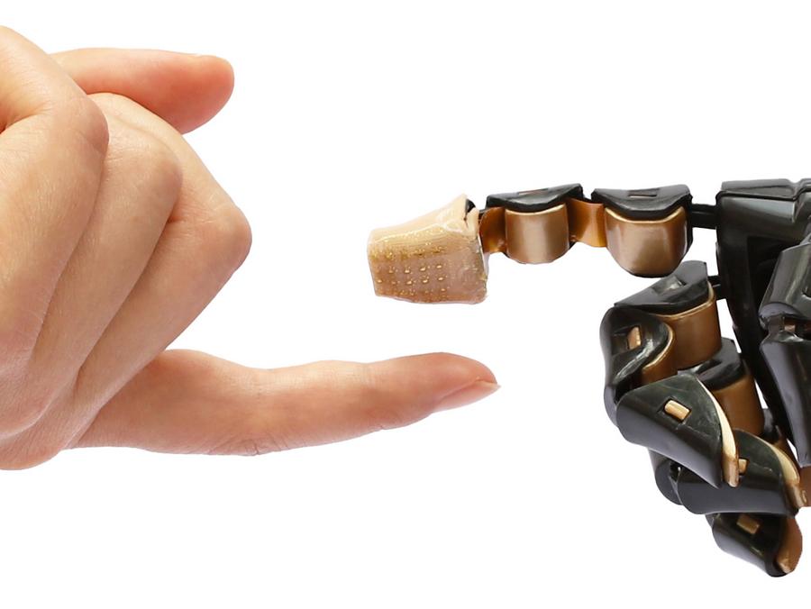 Chinese scientists design bio-inspired 3D e-skin-Xinhua