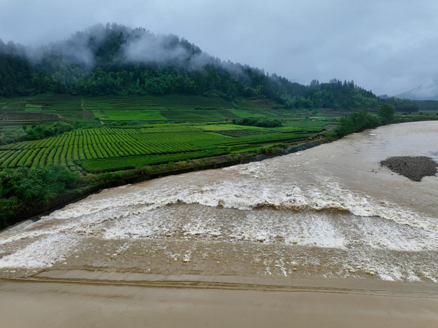 Emergency responses activated as heavy rains batter south China-Xinhua