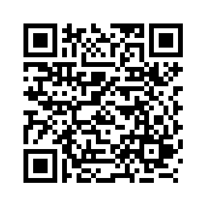 Pakistani PM calls for collective action under SCO platform for ...