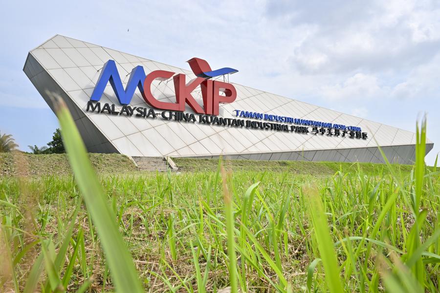 Palm oil sector eyes expanded presence in China-Xinhua