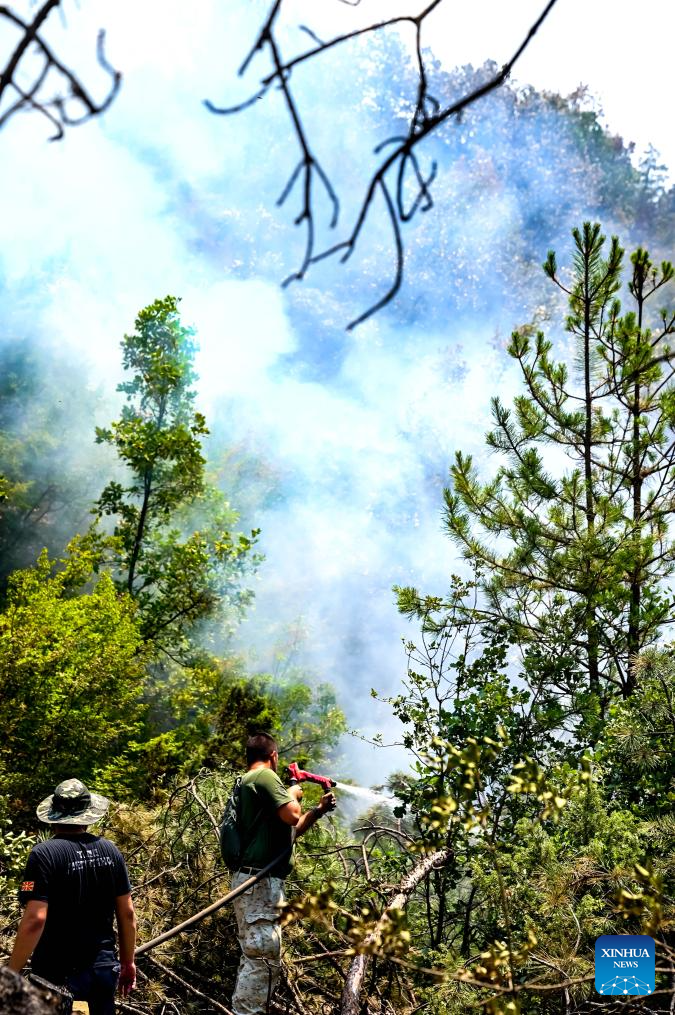 In pics: fire-hit Serta mountain near Negotino, North Macedonia-Xinhua