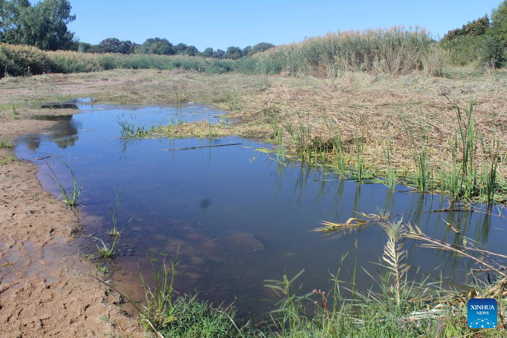 Feature: Botswana rehabilitates iconic Tati River amid climate change ...
