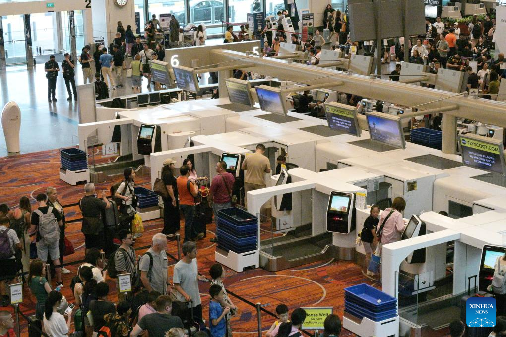 IT outage disturbs Singapore's social services-Xinhua