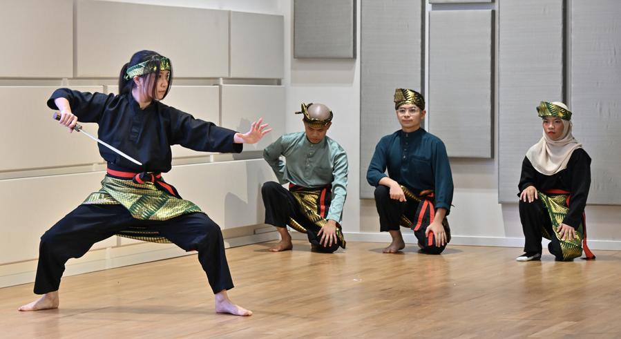 Brunei-China art, culture festival highlights long-standing friendship ...