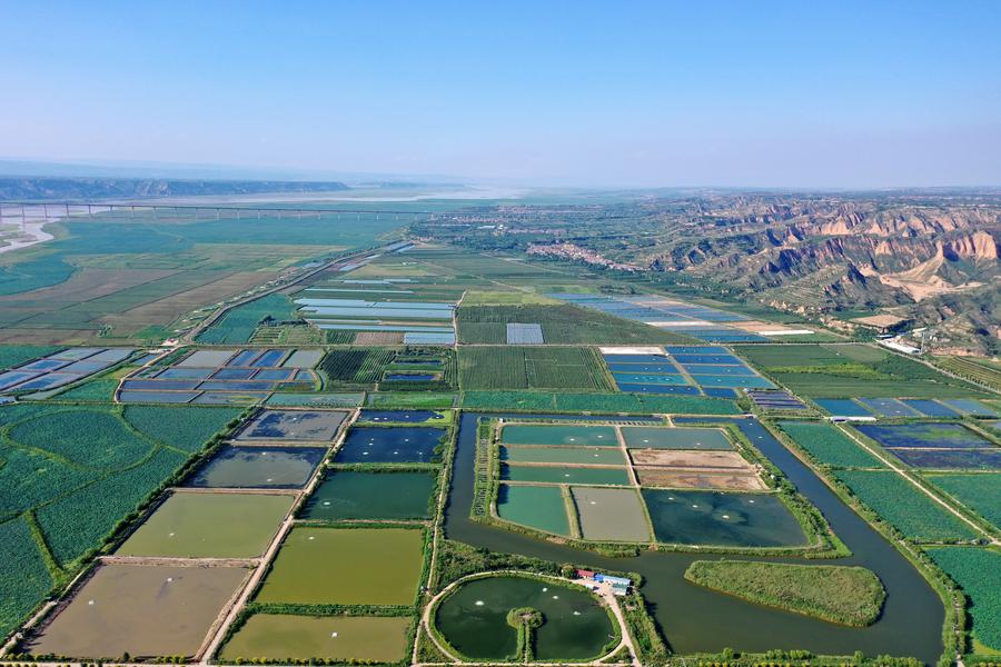 ChineseToday | "New farmer" boosts rural development with crab breeding ...