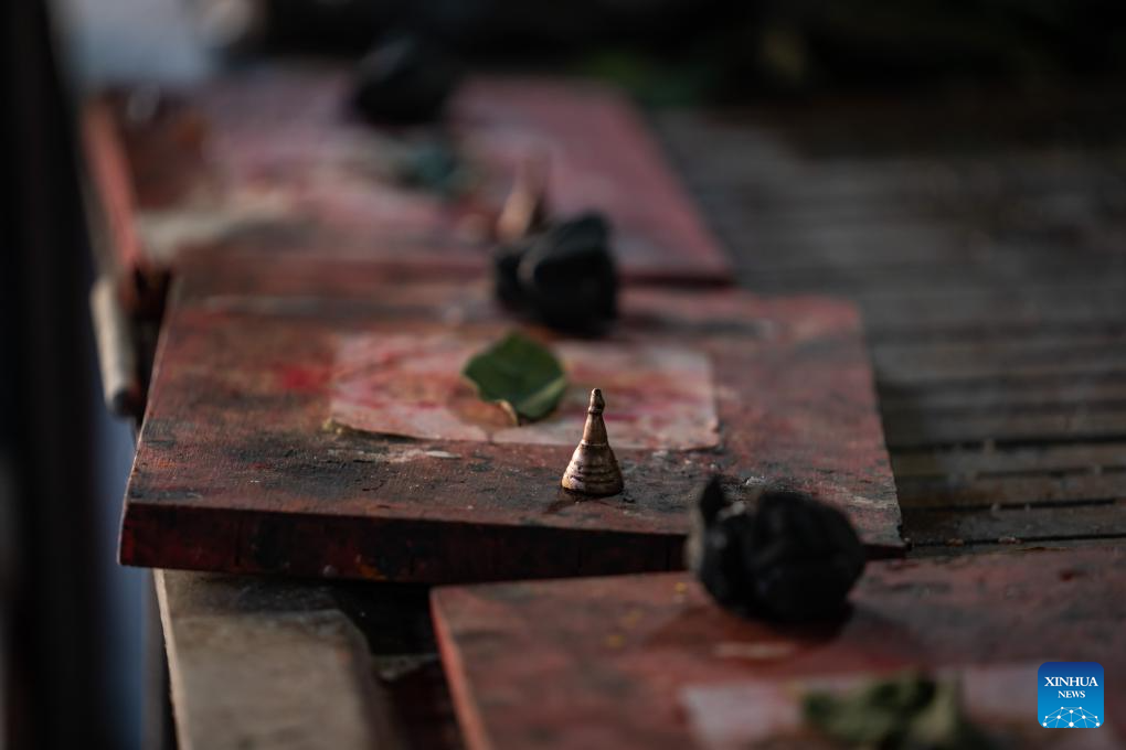 Gunla Festival celebrated in Lalitpur, Nepal-Xinhua