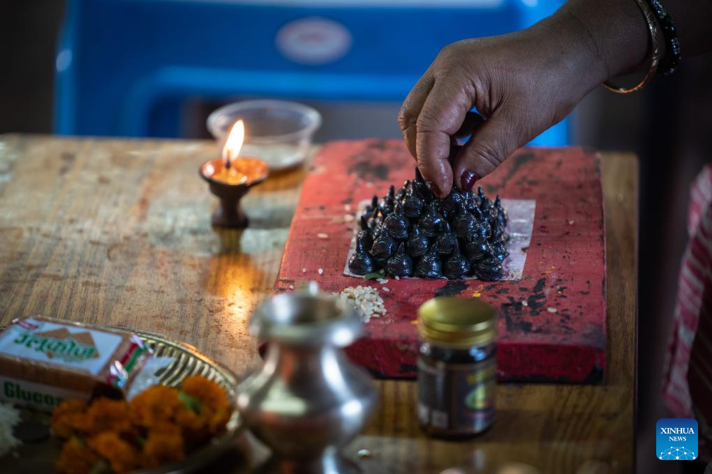 Gunla Festival celebrated in Lalitpur, Nepal-Xinhua