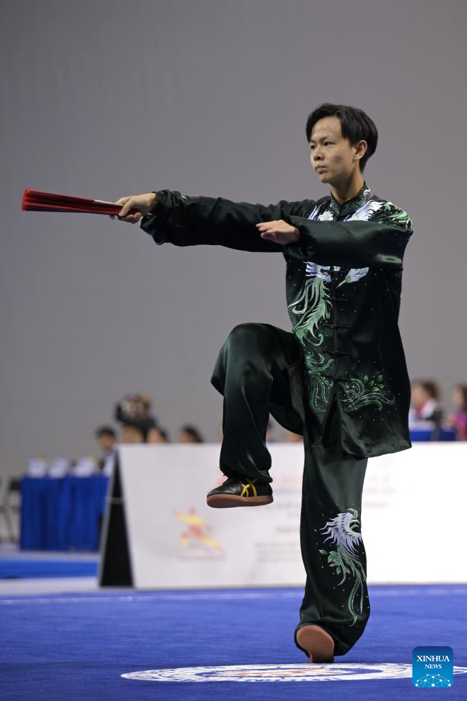 Highlights of 4th World Taijiquan Championships-Xinhua
