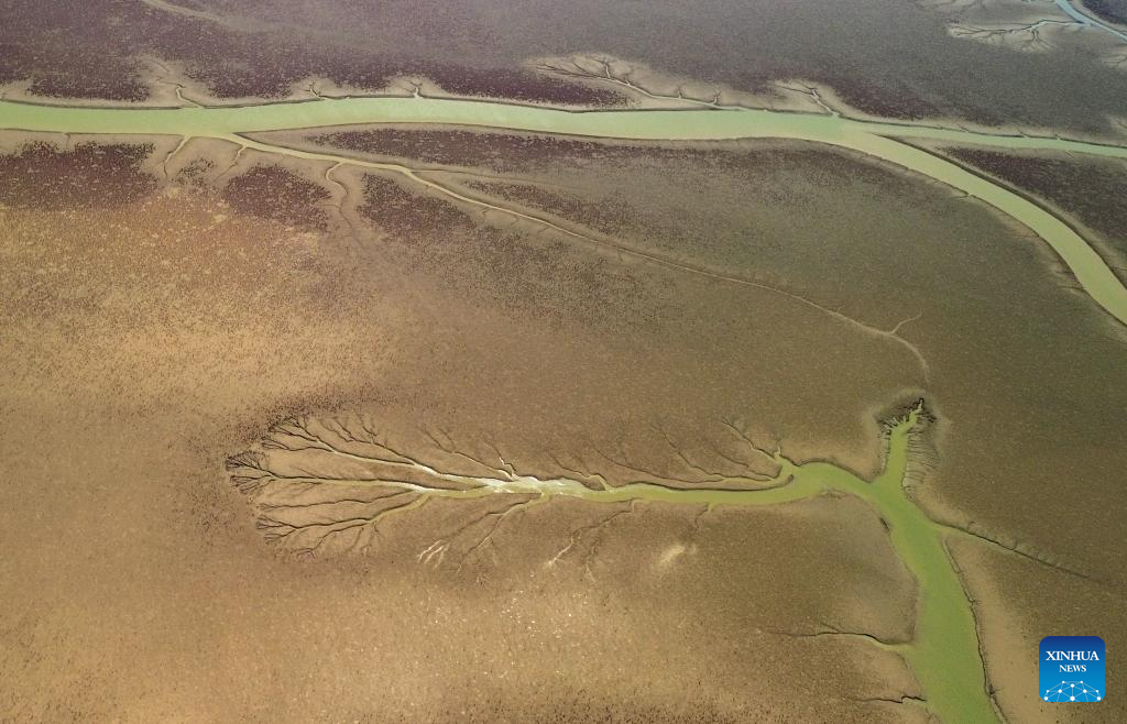 Aerial view of mudflats of Yellow River Delta in Dongying, China's ...