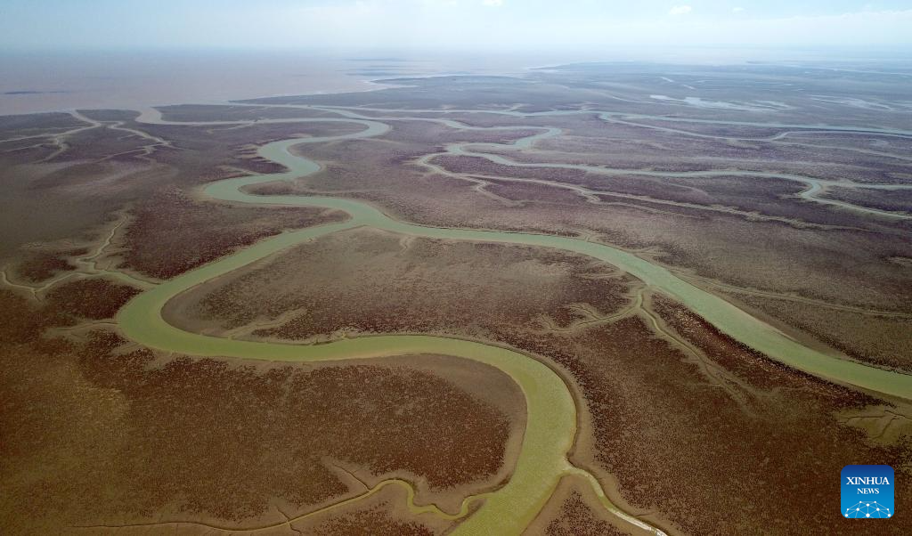 Aerial view of mudflats of Yellow River Delta in Dongying, China's ...